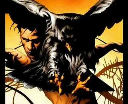 David the hawk – Shelf Reflections